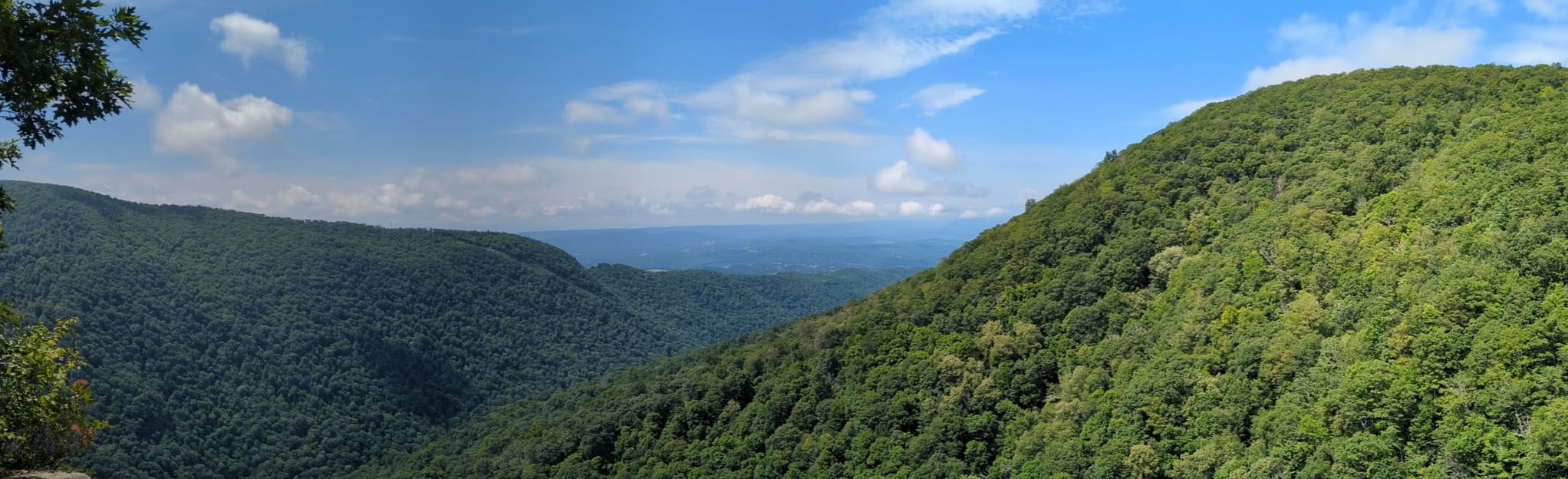 Cascades National Recreation Trail to Barney's Wall: 395 Reviews, Map ...