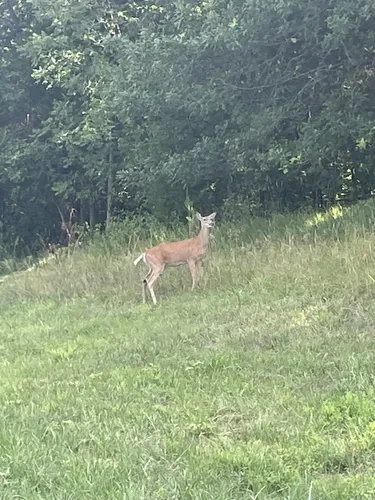 Best Hikes and Trails in Deer Ridge Park | AllTrails