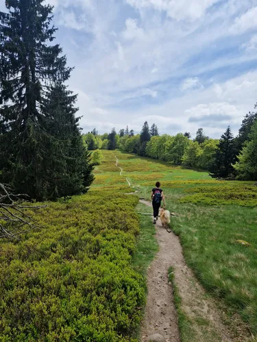 Best Hikes and Trails in Réserve Naturelle du Massif du Grand Ventron ...