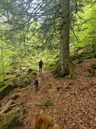 Best Hikes and Trails in Réserve Naturelle du Massif du Grand Ventron ...