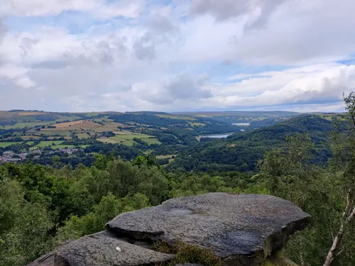 2023 Best River Trails in Wharncliffe Woods | AllTrails