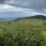 Mount Rogers Loop Trail, Virginia - 389 Reviews, Map | AllTrails