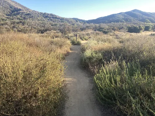 Best Hikes and Trails in Los Robles Open Space | AllTrails