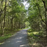 Lake Conestee Nature Trail and Swamp Rabbit Trail, South Carolina - 305 ...