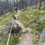 North Fork Big Thompson River Trail Via Dunraven Trailhead, Colorado ...