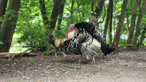 Best Hikes and Trails in BeeTree Preserve | AllTrails