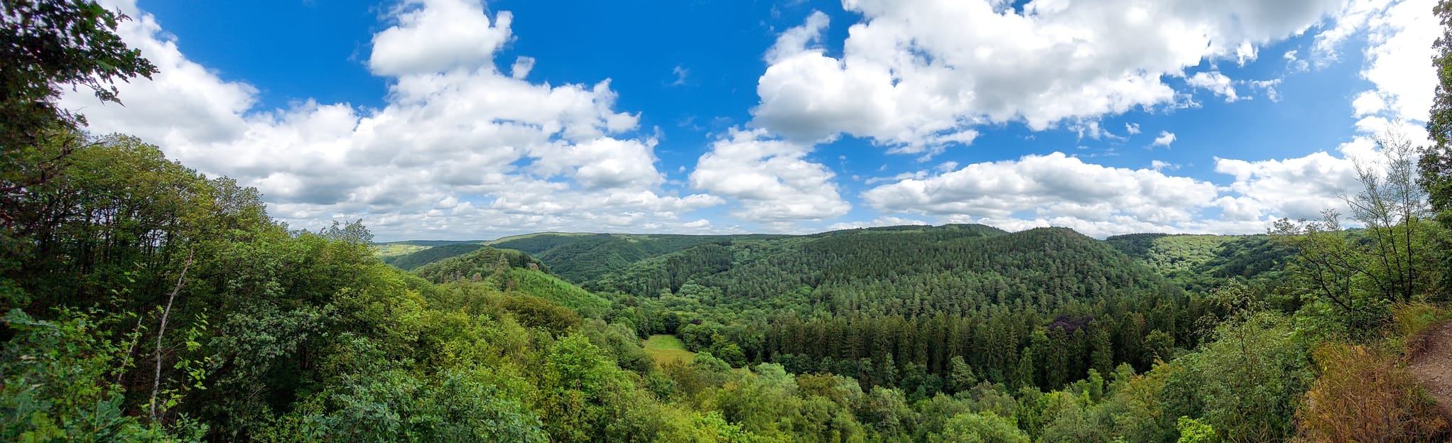 Walk 57: Nutons Waterfall, Liège, Belgium - 443 Reviews, Map | AllTrails