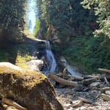 Racehorse Falls Trail, Washington - 411 Reviews, Map | AllTrails