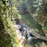Racehorse Falls Trail, Washington - 411 Reviews, Map | AllTrails