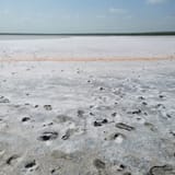 La Sal del Rey Trail, Texas - 26 Reviews, Map | AllTrails