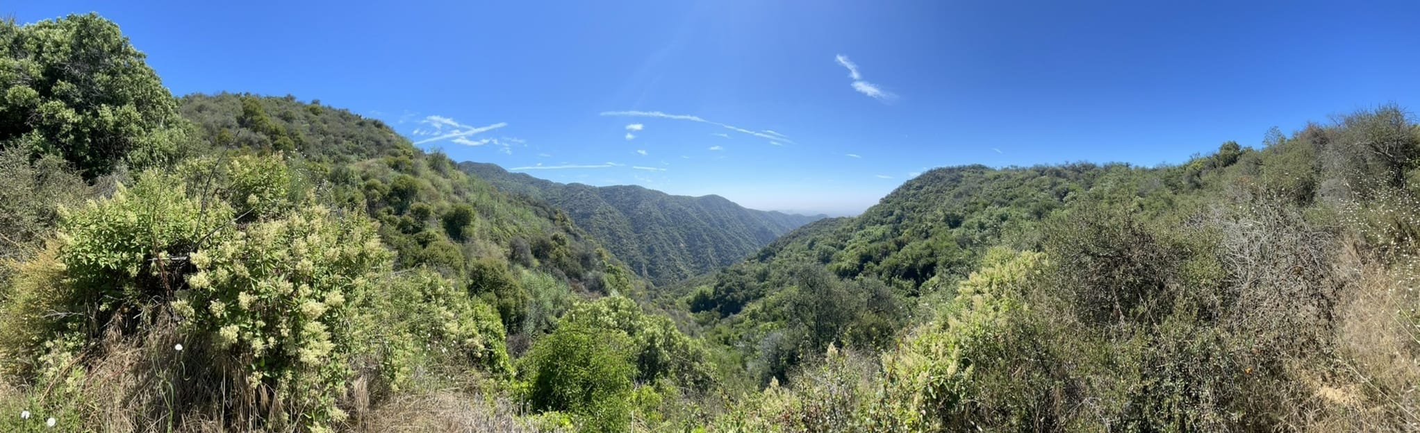 Temescal Ridge to Bienveneda Trail, California - 161 Reviews, Map ...