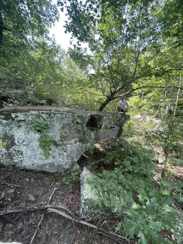 Best Hikes and Trails in Keystone Ancient Forest | AllTrails