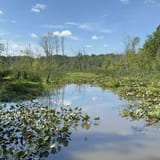 Lake Conestee Nature Park Loop, South Carolina - 1,214 Reviews, Map ...