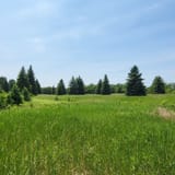 Pembina Rim Trail, Manitoba, Canada - 373 Reviews, Map | AllTrails