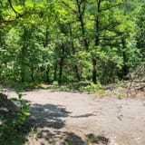 Pembina Rim Trail, Manitoba, Canada - 373 Reviews, Map | AllTrails