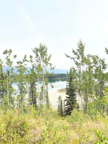 Best Hikes and Trails in Tā Ch’ilā Provincial Park (Boya Lake) | AllTrails