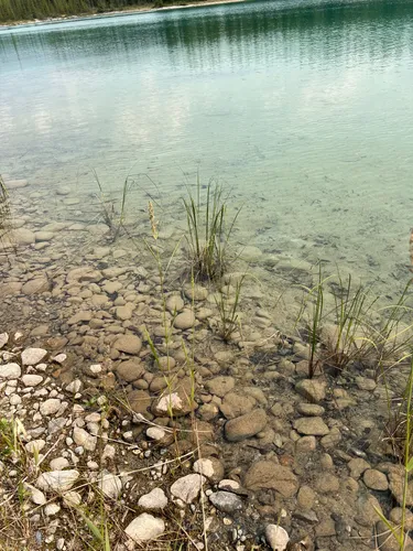 Best Hikes and Trails in Tā Ch’ilā Provincial Park (Boya Lake) | AllTrails