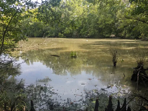 Best Hikes and Trails in Lake Fausse Pointe State Park | AllTrails