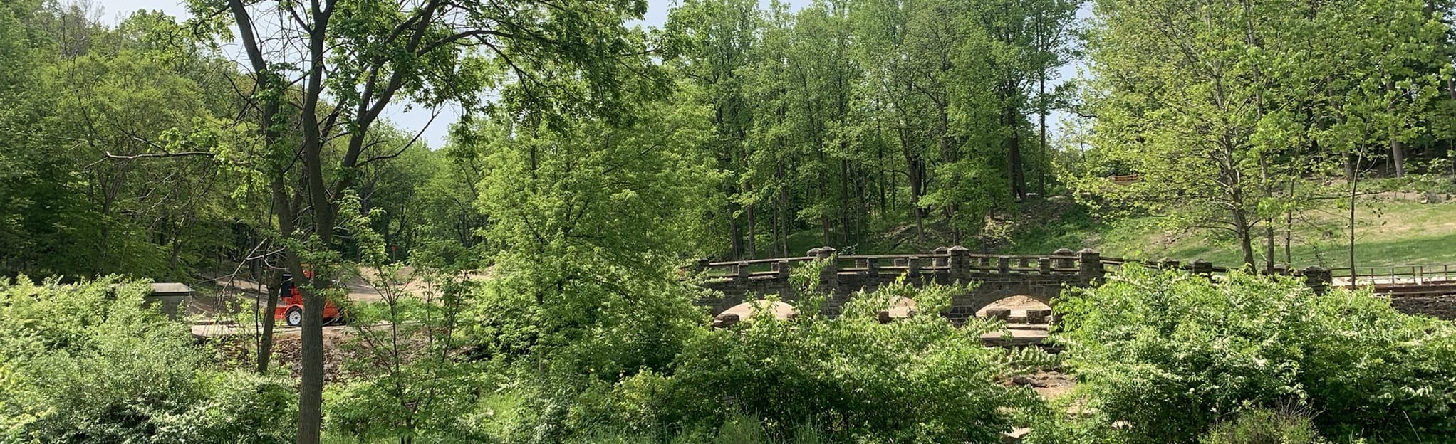 Iron Springs Loop Trail: 126 Reviews, Map - Ohio | AllTrails