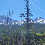Obsidian Trail, Oregon - 641 Reviews, Map | AllTrails