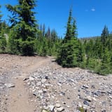 Obsidian Trail, Oregon - 637 Reviews, Map | AllTrails