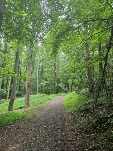 Best Hikes and Trails in Observatory Hill Trail System | AllTrails