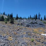 Obsidian Trail, Oregon - 637 Reviews, Map | AllTrails