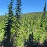 Obsidian Trail, Oregon - 641 Reviews, Map | AllTrails