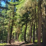 Obsidian Trail, Oregon - 641 Reviews, Map | AllTrails