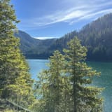 Blue River Lake North East trail, Oregon - 25 Reviews, Map | AllTrails