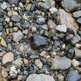 Pretty Marsh Trail, Maine - 192 Reviews, Map | AllTrails