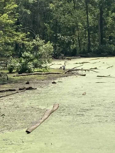 Best Hikes and Trails in Howell Park and Wetlands | AllTrails