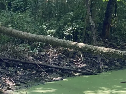 Best Hikes and Trails in Howell Park and Wetlands | AllTrails