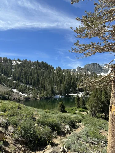10 Best Short Trails in Inyo National Forest | AllTrails
