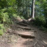 Echo Peak Loop Trail, Washington - 1,314 Reviews, Map | AllTrails