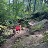 Echo Peak Loop Trail, Washington - 1,314 Reviews, Map | AllTrails