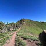 Wasatch Crest Trail, Utah - 351 Reviews, Map | AllTrails