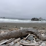 Hidden Beach Trail from Hwy 101, California - 60 Reviews, Map | AllTrails