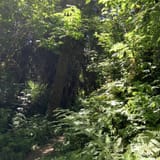 Hidden Beach Trail from Hwy 101, California - 60 Reviews, Map | AllTrails