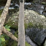 Sutton Ridge Overlook Trail, Tennessee - 495 Reviews, Map | AllTrails