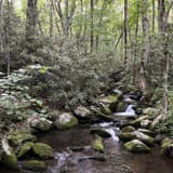 Sutton Ridge Overlook Trail, Tennessee - 495 Reviews, Map | AllTrails