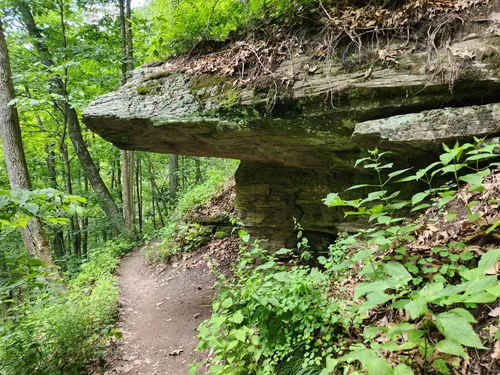 Best Hikes and Trails in Colton Point State Park | AllTrails
