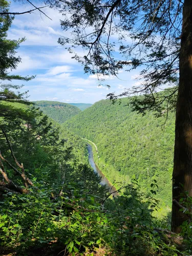 Best Hikes and Trails in Colton Point State Park | AllTrails