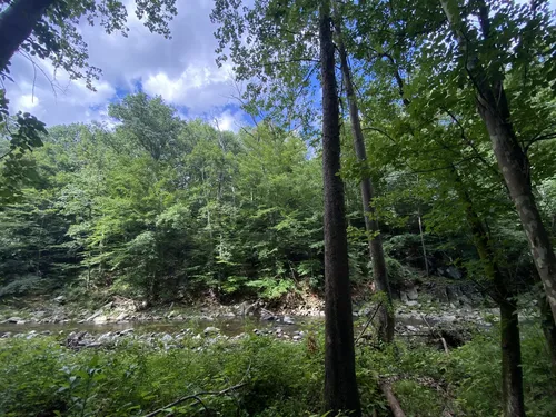 Best Hikes and Trails in Cabin John Regional Park | AllTrails