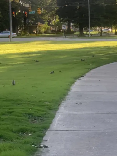 Best Hikes and Trails in Delano Park | AllTrails