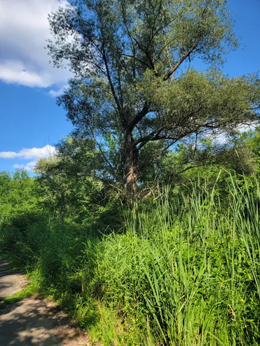 Best Hikes and Trails in Clio Park | AllTrails