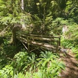 Doerner Fir Trail, Oregon - 29 Reviews, Map | AllTrails