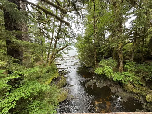 10 Best Trails and Hikes in Ketchikan | AllTrails