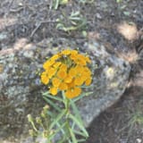 Button Rock Mountain Loop, Colorado - 688 Reviews, Map | AllTrails