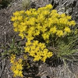 Button Rock Mountain Loop, Colorado - 688 Reviews, Map | AllTrails